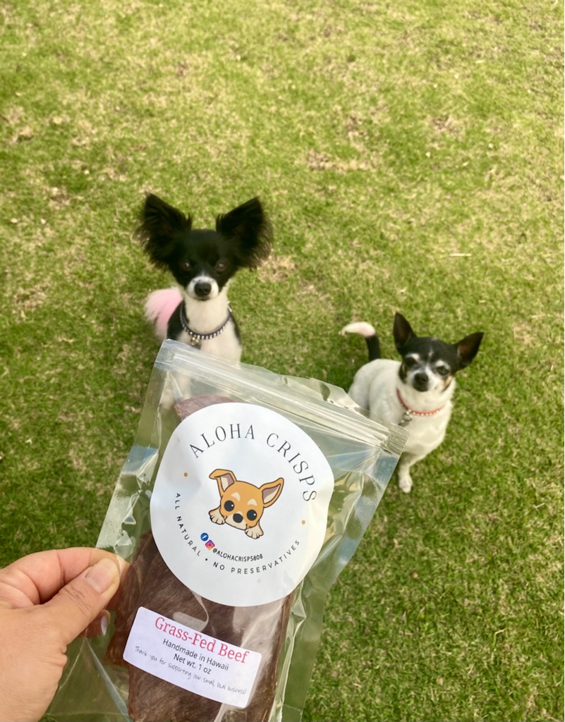 Aloha Crisps / Eco Pet Hawaii (booth sharing) || Honolulu Festival
